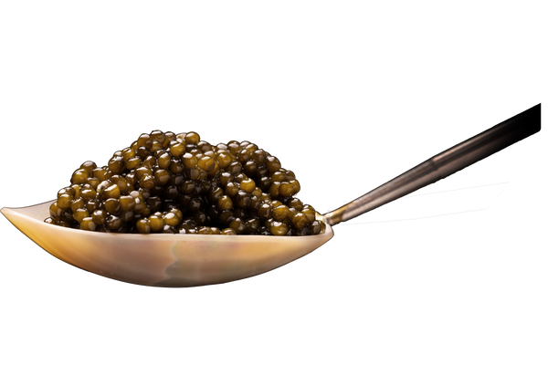 Best Caviar to Pair with Vodka Instead of Champagne – Imperia Caviar
